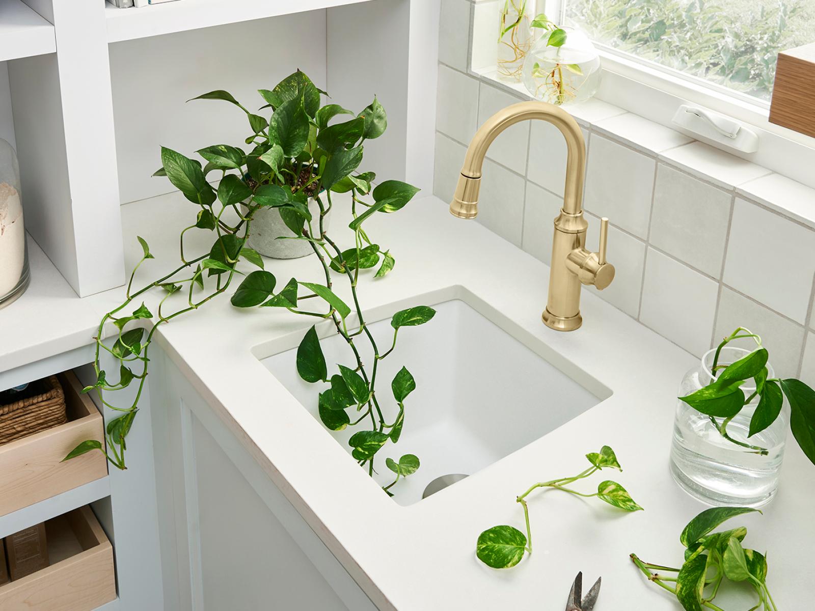 Wet Bar Sinks & Small Kitchen Prep Sinks | BLANCO