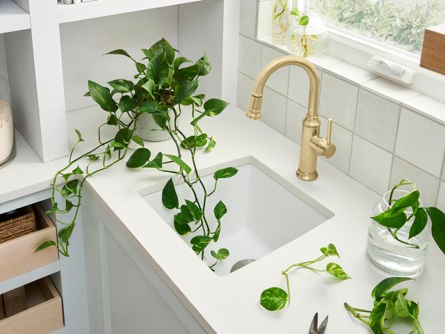 Wet Bar Sinks & Small Kitchen Prep Sinks | BLANCO