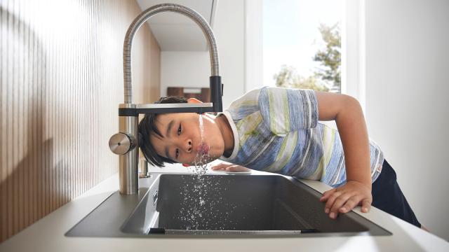 Kitchen Mixer Taps: Variety of Styles & Features | BLANCO